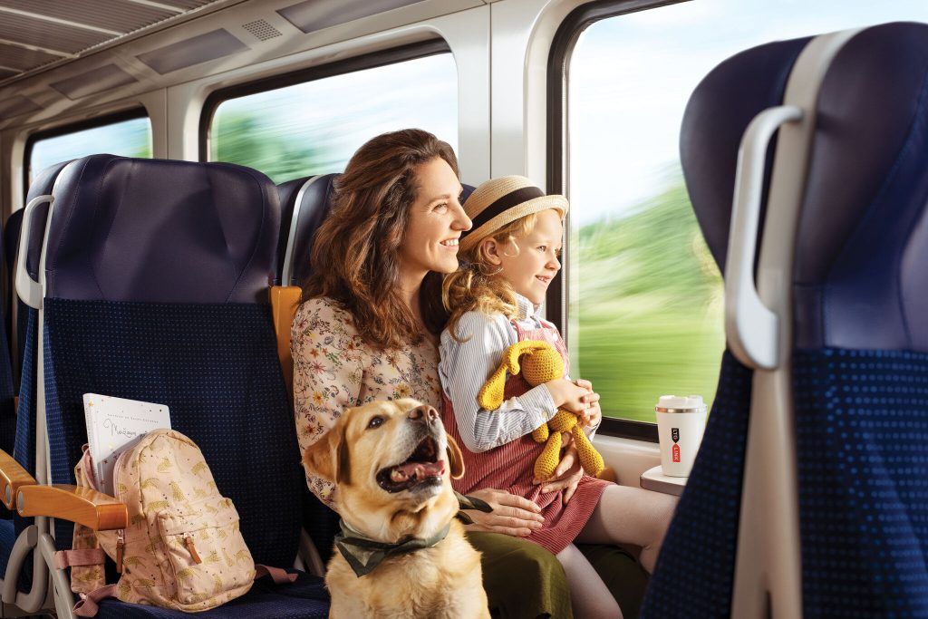 Dogs On A Train - DogsThatTravel.Com